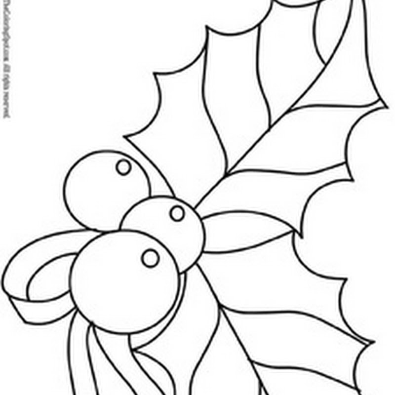 Dibujos para colorear Abetos y adornos Navidad - Colorear dibujos ...